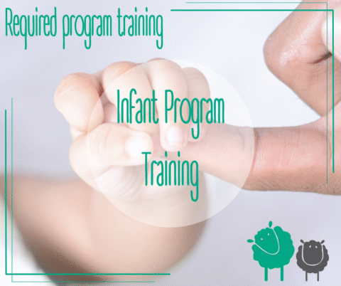 Infant Program Training - A New Beginning Adoption Agency